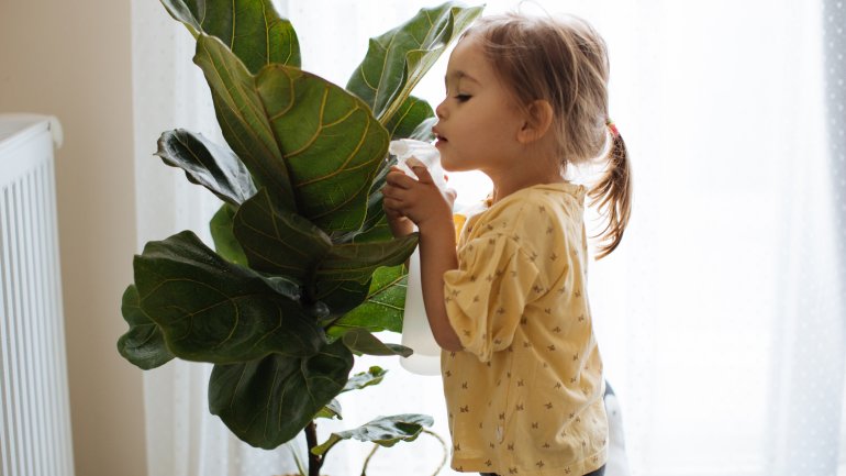 Giftige Pflanzen für Kinder und Katzen