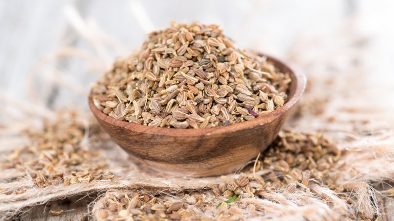 Anis: Die bekannte Heil- und Gewürzpflanze